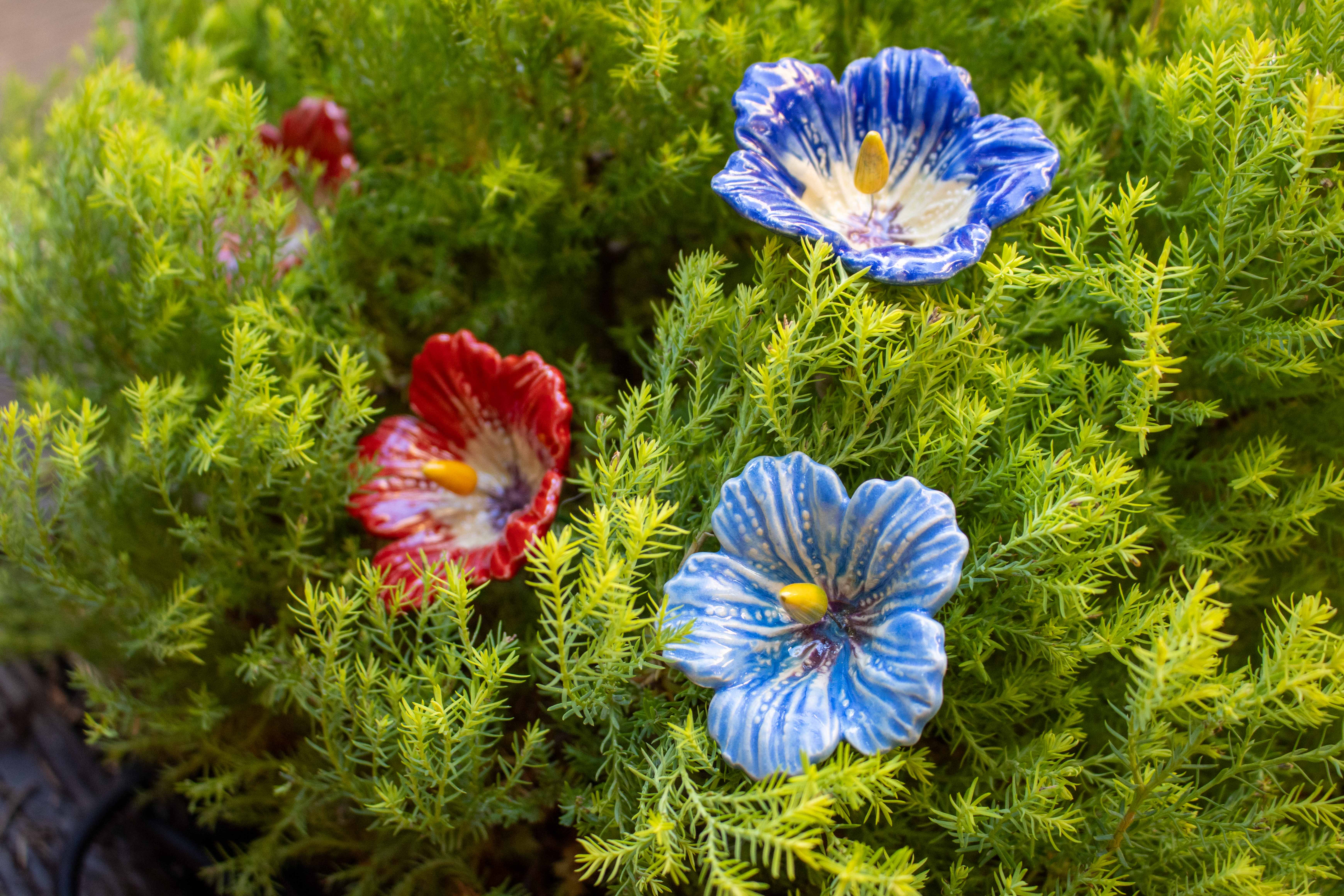 The Colors of Plants and Their Meaning: Which One Suits You? | The ...