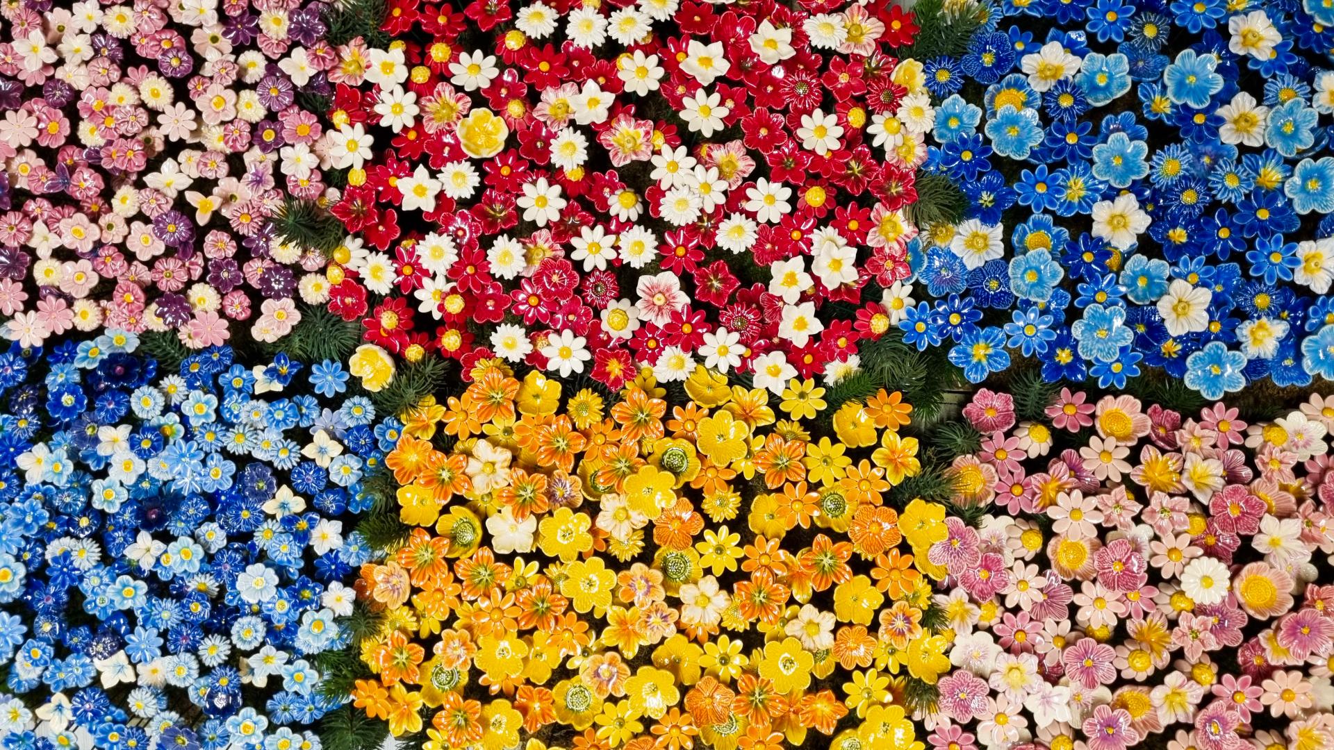 The Colors of Plants and Their Meaning: Which One Suits You? | The ...