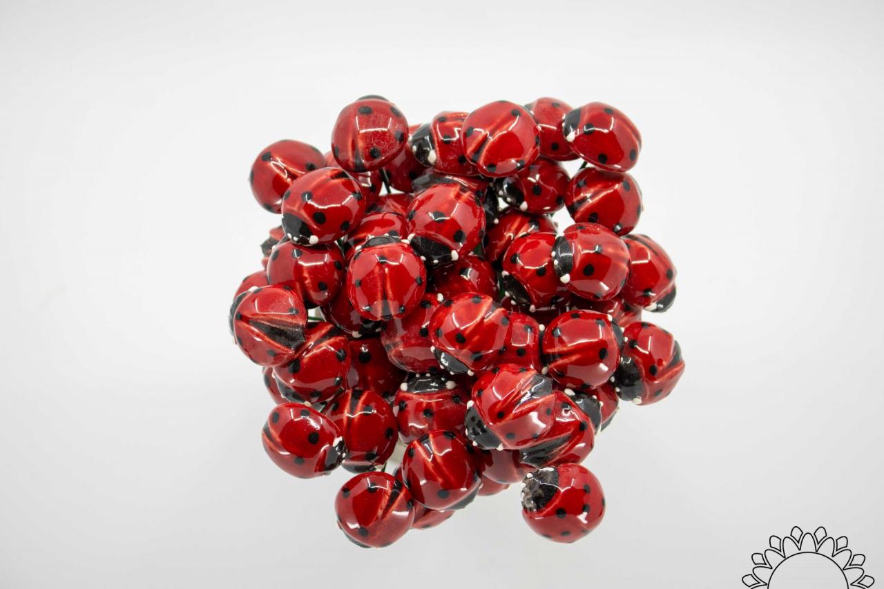 Ladybug | The Ceramic Flowers